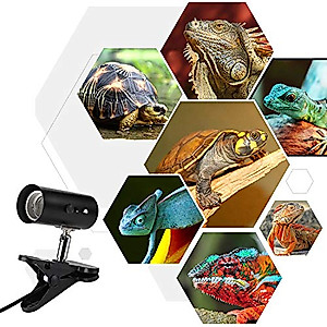 2 Pack Clamp Lamp Fixture with 3 Pack 50W UVA UVB Bulbs, for Reptiles Adjustable Habitat Lighting & Heat Lamps Holder Stand for Pet Habitat Heat Light Bulbs/Lamps