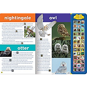 Encyclopaedia Britannica Kids - Animal Sound Storybook Treasury 39-Button Sound Book - PI Kids