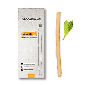 Groomarang Miswak Natures Own Toothbrush Kit 2 Sticks Organic Teeth Whitener Eco Friendly from Salvadoran Persica Tree Roots