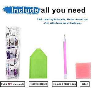 Turtle Diamond Art Painting Kits for Adults - Inspirational Full Drill Diamond Dots Paintings for Beginners, Round 5D Paint with Diamonds Pictures Gem Art Painting Kits DIY Adult Crafts 12x16inch