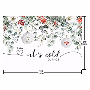 AIBIIN 7x5ft Winter Baby It's Cold Outside Backdrop Christmas Eucalyptus Leaves Baby Shower Decorations Winter Photography Background for Baby Shower Photo Booth Props