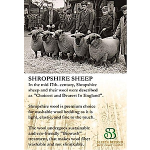 Sleep & Beyond 54 by 76-Inch Washable Wool Mattress Topper, Full, Natural