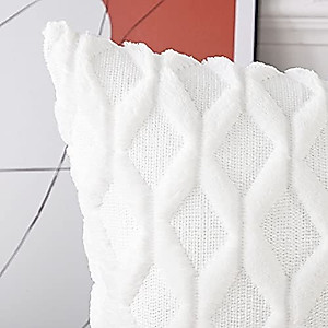 MADIZZ Set of 2 Soft Plush Short Wool Velvet Decorative Throw Pillow Covers 24x24 inch White Square Luxury Style Cushion Case European Pillow Shell for Sofa Bedroom