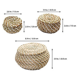 Cabilock Wicker Basket with Lid Mini Straw Hand Large Woven Basket Rattan Storage Basket Box Woven Storage Baskets Small Wicker Baskets