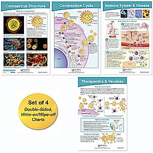 NewPath Learning Coronavirus Structure & Immunity Bulletin Board Chart Set, Set/4 - Laminated, Double-Sided, Full-Color, 12" x 18" (94-7716)