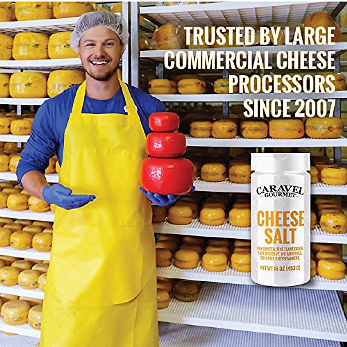 Cheese Sea Salt, Fine Sea Salt for Homemade Cheese Making, Gluten-Free and Non-Iodized Salt, Kosher Cheese Kit Essential Salt, 1 lb Shaker, Sea Salt Superstore