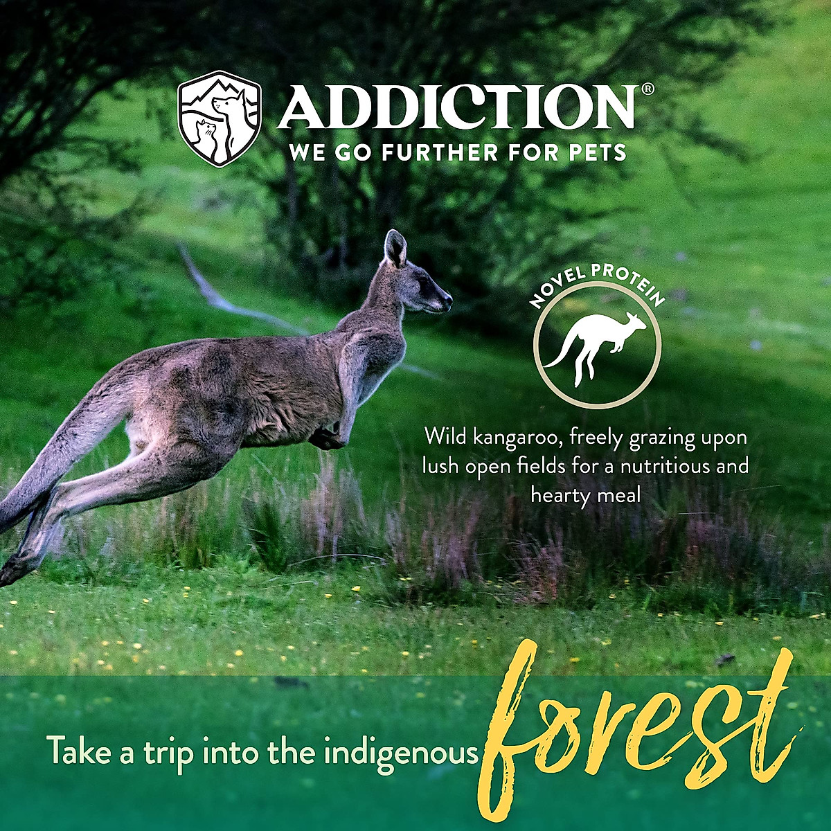 Addiction Outback Kangaroo Feast Raw Alternative Dog Food - Gently Air-Dried Complete Meal or Dog Food Topper for Digestive and Skin and Coat Health, 2 lb