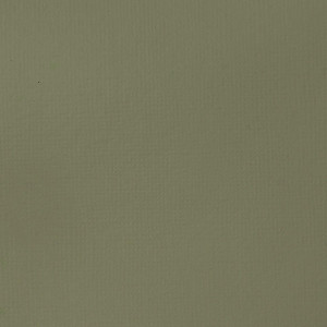 Liquitex BASICS Acrylic Paint, 118ml (4-oz) Tube, Green Gray