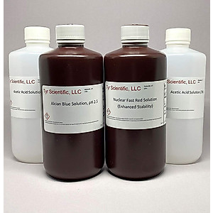 Alcian Blue (pH 2.5) Stain Pack, 1000ml