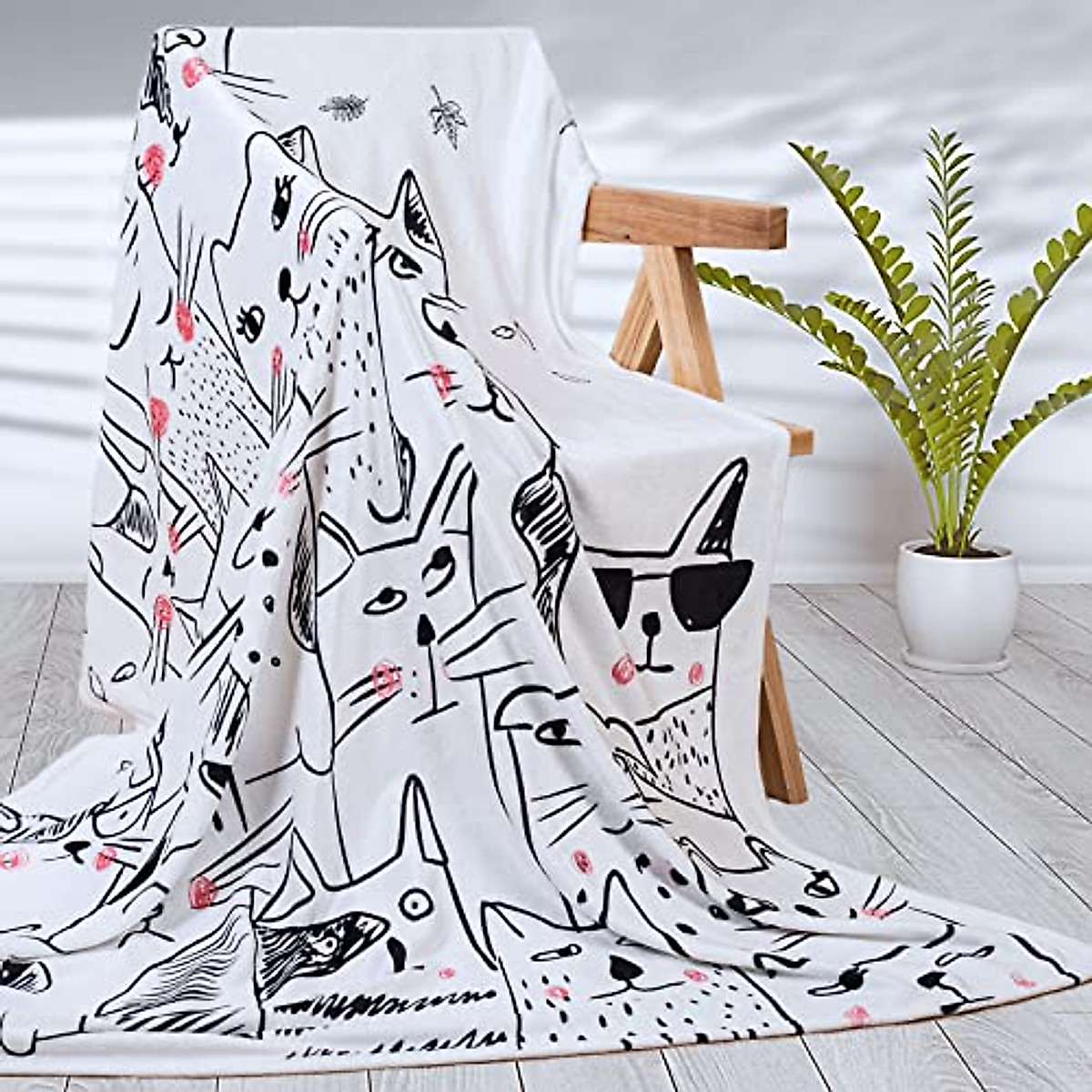 BQH Cat Throw Blanket for Cat Lovers Cute Blankets Cat Plush Blanket Cat Blanket for Women Cat Themed Gifts for Women (50 * 60inchs,NewCat6)…