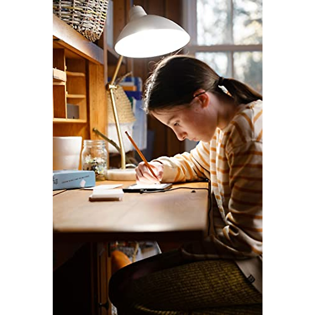 Official Andymation's Flipbook Starter Kit for Kids & Adults with LED Light Pad for Drawing & Tracing Animation, Premium Pre-drilled Flip Book Paper, Removable Binding Screws