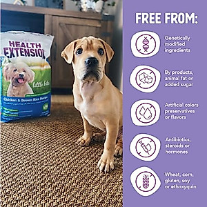 Health Extension Little Bites Weight Control Dry Dog Food, Grain-Free, Natural Food for Overweight Adult Dogs with Added Vitamins & Mineral, Include Lite Chicken & Brown Rice Recipe (15 lbs)
