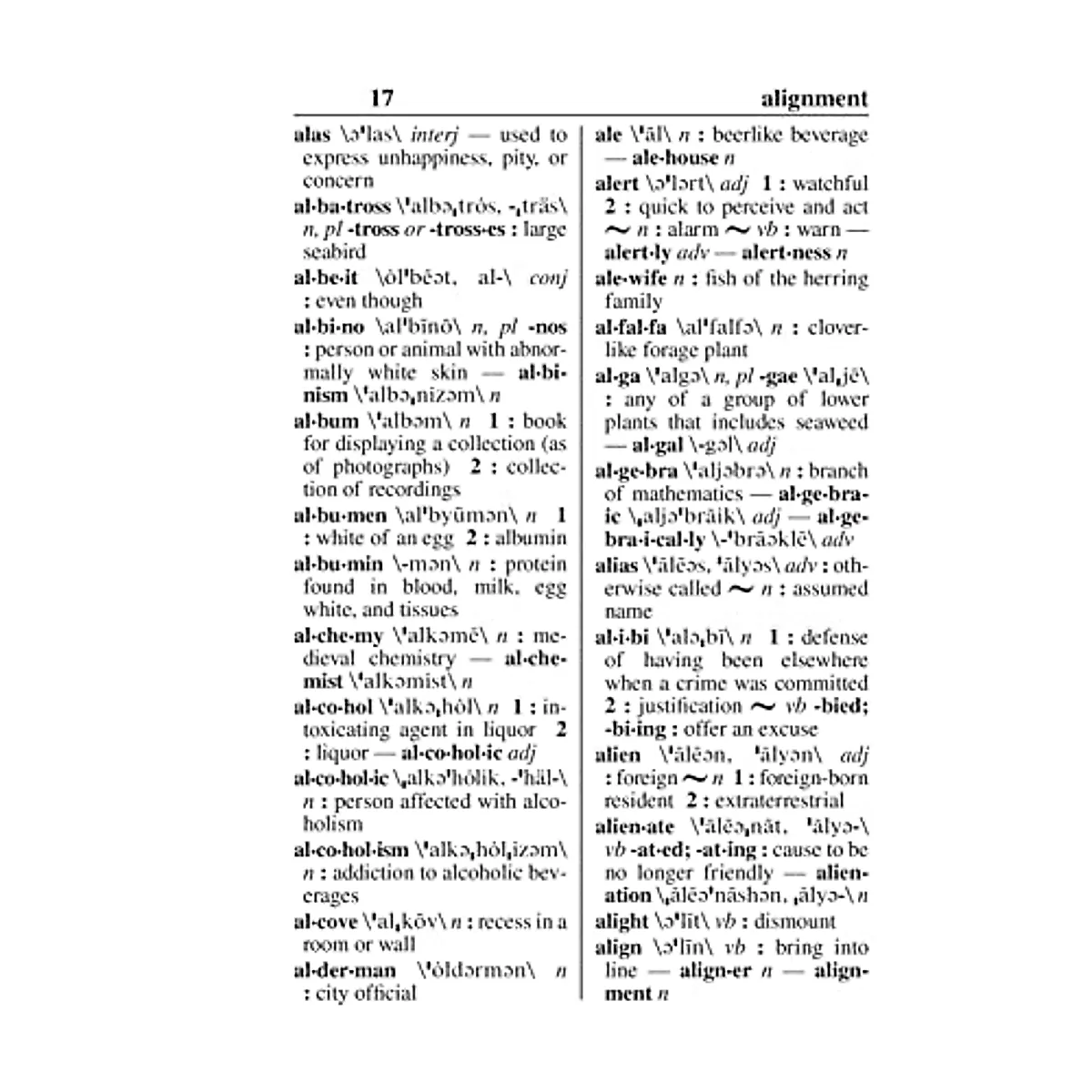Webster's New Explorer Large Print Dictionary, Third Edition, Newest Edition
