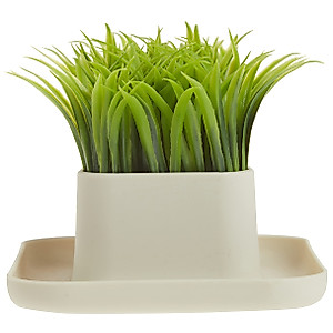 Kikkerland Potted Pen Phone Stand (SC25)