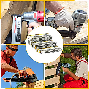 Therwen Framing Nails, 21 Degree, Flat D Head, Galvanized, Ring Shank, Plastic Row Fixed, 21 Degree Framing Nails for Use in All Pressure Treated Lumber (1000 Count,2 Inch x 0.12 Inch)