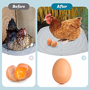 Yaofafa Chicken Nesting Pads,Washable Nesting Box Pads for Laying Eggs,Cuttable Reusable Hemp Bedding for Chicken Coop,Rubber Sponge Buffer Anti-Fall Poultry Nesting Pads 12''x12''(6Pack)