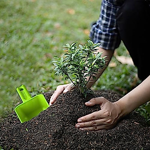 Vikan Remco 630077 Color-Coded Plastic Hand Scoop - BPA-Free Food-Safe Kitchen Utensils, Restaurant and Food Service Supplies, 16 oz, Lime