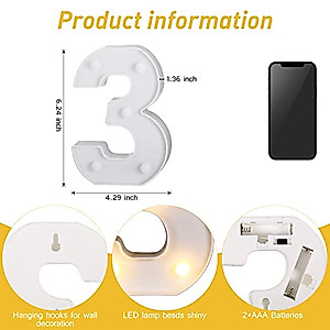 30th Birthday Decorations Marquee Numbers Light up Letters Plastic Led Light Up Number Letters Figure Fairy Birthday Party Supplies Battery Operated Numbers for 30th Happy Birthday Anniversary Event