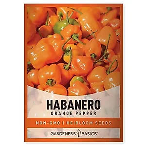 Orange Habanero Pepper Seeds for Planting Heirloom Non-GMO Hot Habanero Peppers Plant Seeds for Home Garden Vegetables Makes a Great Gift for Gardeners by Gardeners Basics