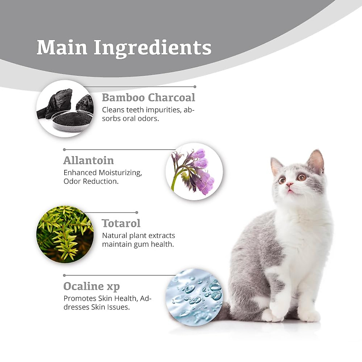 PROUDPET Bamboo Charcoal Pet Toothpaste. Effectively removes Oral Odor and Reduces The Chance of Calculus and Plaque Formation.