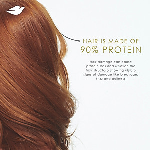 Dove Damage Therapy Shampoo Daily Moisture for Dry Hair with Bio-Protein Care Technology and Hyaluronic Serum 12 Fl Oz