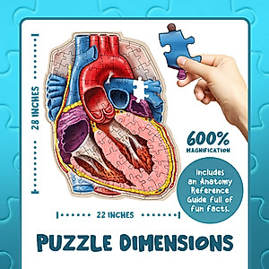Human Heart Anatomy Floor Puzzle — Genius Games Doctor Livingston Jr Anatomy Toy - Kids Puzzles & Science Toys - Human Heart Anatomy Model - 100 Piece Jigsaw Puzzles for Kids, Toddlers, Teens