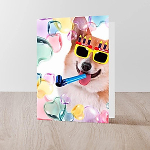 CafePress Happy Birthday Corgi Folded Greeting Card Glossy