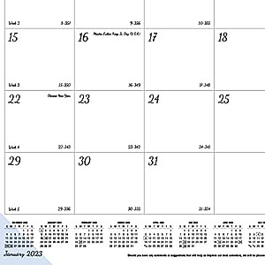 Blueline 2023 DoodlePlan Monthly Coloring Desk Pad Calendar, 12 Months, January to December, 22" x 17", Botanica Designs (C2917311-23), Black/White