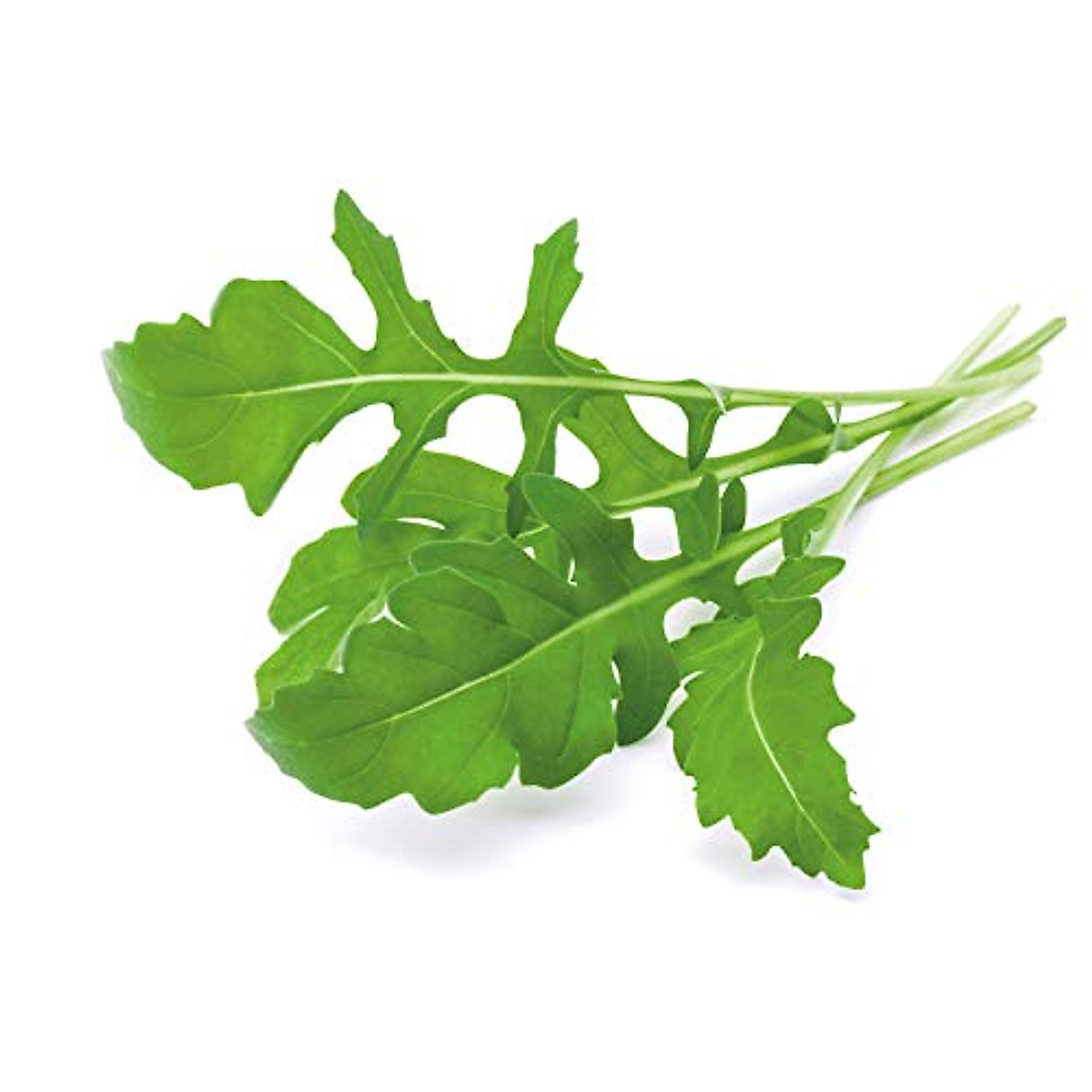 Click and Grow Smart Garden Arugula Plant Pods, 3-Pack