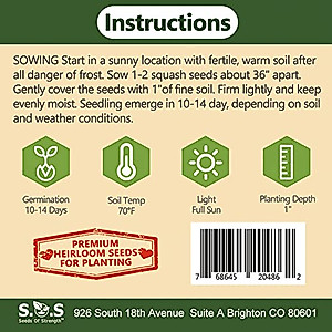 Planting 1 Individual Packets - 3g Zucchini Seeds for Your Non GMO Heirloom Vegetable Garden (Zucchini)