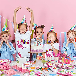 WAWSAM Dinosaur Big Sister Announcement T Shirt Promoted Outfits for Toddler Girls 100% Cotton Promoted to Big Sister Shirt (White, 2T)