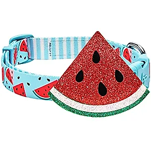 Blueberry Pet 2022 New Summer Sparkle Dog Collar, Adjustable Medium Size, Neck 14.5"-20", Zesty Fruit Watermelon Blue, Pet Collar with Detachable Accessory