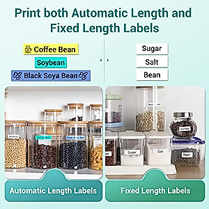 Labelife Label Maker Machine with 4 Tapes, Portable Label Maker D210S, QWERTY Keyboard, One-Touch Keys, Easy-to-Use, Handheld Label Maker with Tapes and AC Adapter, for Home Office Organization, Green