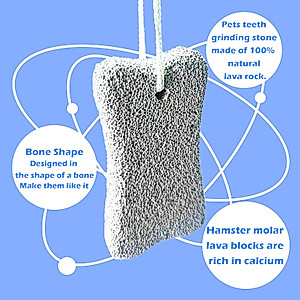 MUYG 5.12 Inch Rabbit Lava Blocks,6 Pcs Small Animals Chews Toys High Calcium Hamster Lava Teeth Grinding Stone for Rabbits Guinea Pig Rats Bunny Hamsters Chinchilla(White)