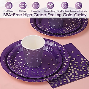 175PCS Purple Party Decorations Purple Plates and Napkins Party Supplies for 25 Guest,Purple and Silver Party Decorations Purple Paper Plates for Baby Shower,Wedding,Birthday,Graduation Party