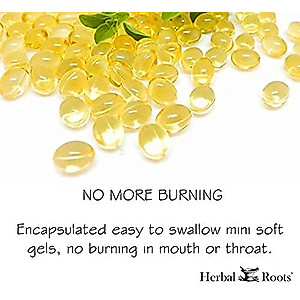 Herbal Roots Oil of Oregano - Made from Mediterranean Oregano Oil - 90 Easy to Swallow Softgel Capsules - Extra Strength 150mg