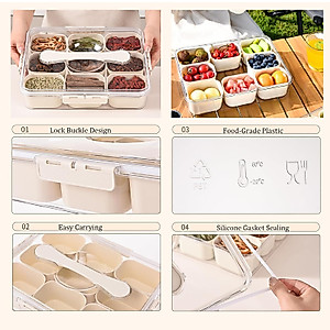 HINIHAO Divided Serving Tray with Lid and Handle, Removable Divided Platter Food Storage Containers with 9 Compartment, Small Boxes for Onion, Ginger, Garlic, Cherry