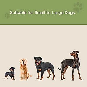 glasho Poop Bags for Dogs (600 Count, 30 Rolls) Lavender Scented Leak Proof Dog Waste Bags, 13 x 9 Inch Strong Doggie Cat Waste Bags with Dispenser, Green/Bulk