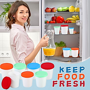 12 Pieces Ice Cream Containers Reusable Homemade Ice Cream Storage Containers with Silicone Lids 1 Quart 8.5 oz 6 oz Plastic Ice Cream Tub Assorted Freezer Storage Tubs for Yogurt Sorbet Gelato