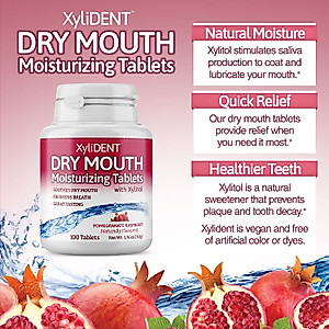 Nature's Stance XyliDENT Xylitol Tablets for Dry Mouth Relief - Stimulates Saliva, Freshens Breath, Reduces Acid Production, Fast Acting Extended Relief, 100 Count