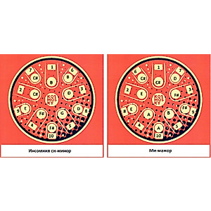 Tank Drum Kosmosky 12" (30 cm) KSY-141"Pegasus" 2-sided/B minor; E major/Hand Pan/Steel Drum/Tongue drum/Singing bowl