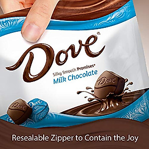 Dove Promises Milk Chocolate Candy Bag, 8.46 Oz