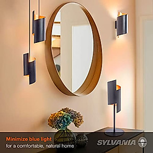 SYLVANIA LED TruWave Natural Series Décor B10 Light Bulb, 60W Equivalent Efficient 5.5W, Candelabra Base, Dimmable, Clear 2700K, Soft White - 2 Pack (40796)