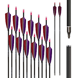 Archery Carbon Arrow 31 inch 600 Spine Pure Carbon with 100 Grain Screw Tips， Hunting Arrows for Compound & Recurve Bow 12PCS