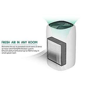 Afloia Efficient Filter for Q10 Air Purifier and Dehumidifier 2-in-1 (Air Purifier Q10 Filter Replacement)