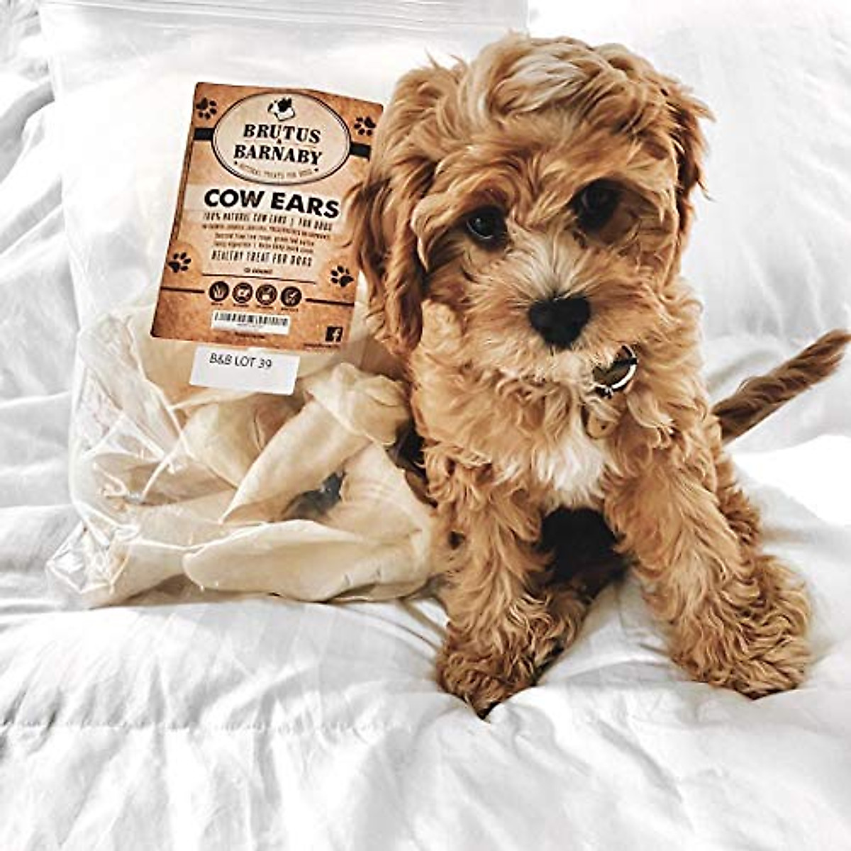 Premium Cow Ears For Dogs, Thick Cut & All-Natural Whole Ears, 100% Grass Fed Beef, No Additives Or Hormones, Safe Rawhide Alternative, Great Dog Treat Alternative To Pig Ears, Bully Sticks, Dog Bones