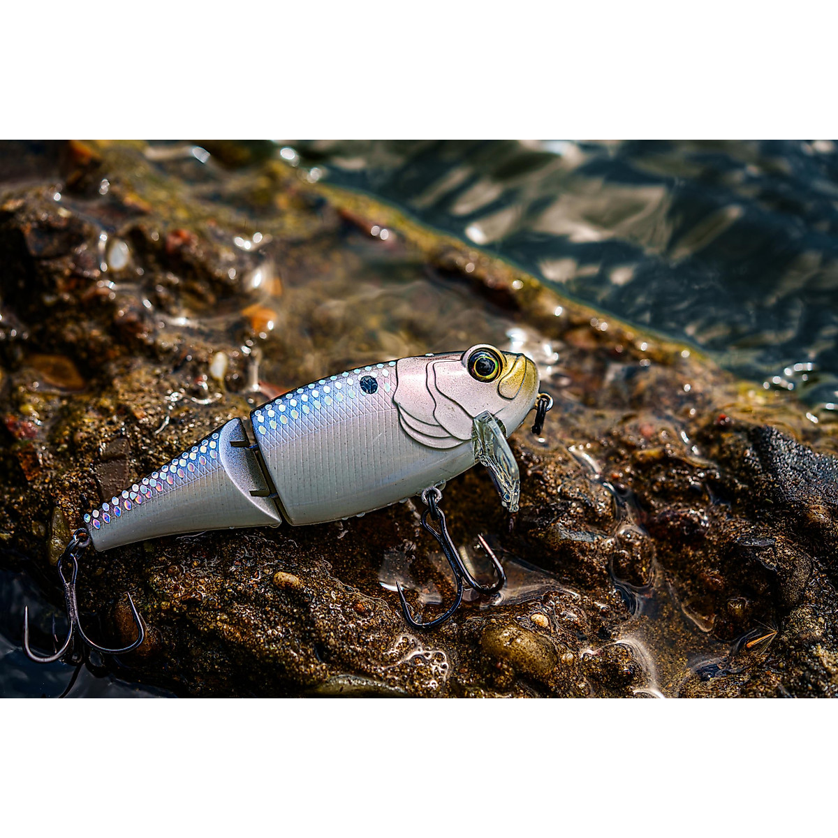 6th Sense Fishing Speed Wake (Live Shiner)