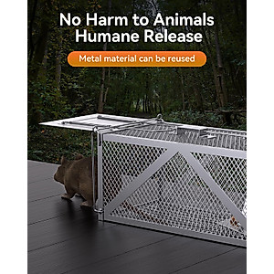 BAOYER Humane Mouse Traps Reusable Catch and Release Live Mouse，Metal Rat Trap That Work，Catch Moles, Voles, Chipmunks