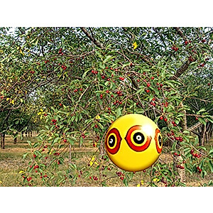 Bird-X Scare-Eye Bird Repellent Predator Eyes Balloon, Yellow