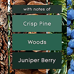 Glade Automatic Spray Refill, Air Freshener for Home and Bathroom, Pine Wonderland, 6.2 Oz, 3 Count